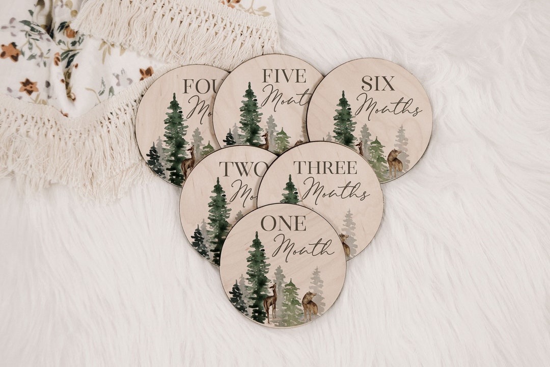 Woodland Forest Baby Milestone Markers Month to Month Engraved Wood ...