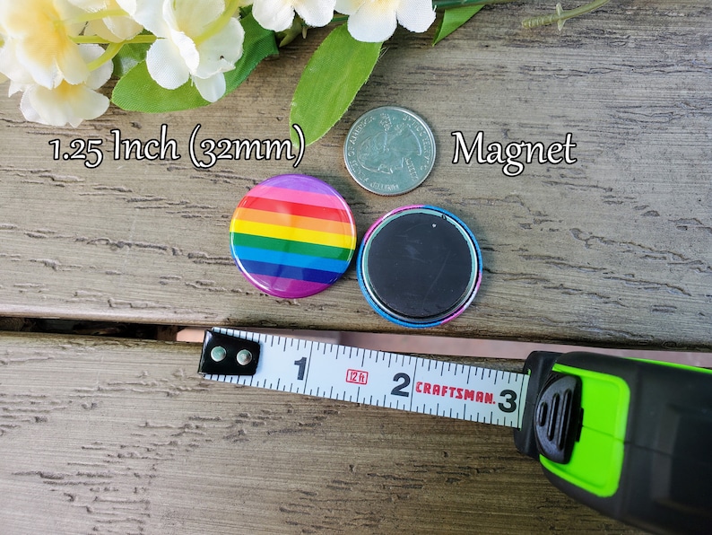 Acespec & Arospec Pride Flags 1.25 Inch Accessories - Pins, Magnets ...