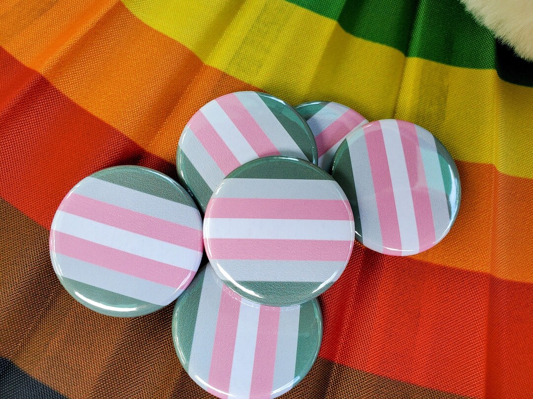 Demigirl Pride Flag 1.25 Inch Accessories - Pins, Magnets, Keychains ...