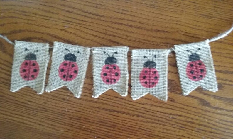 Lady Bug and Daisy Reversible Mini Burlap Banner Lady Bug - Etsy