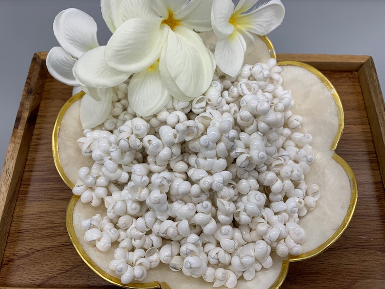 LOOSE Mongo Shell Rings Lei Making Crafts DIY Projects WHITE - Etsy