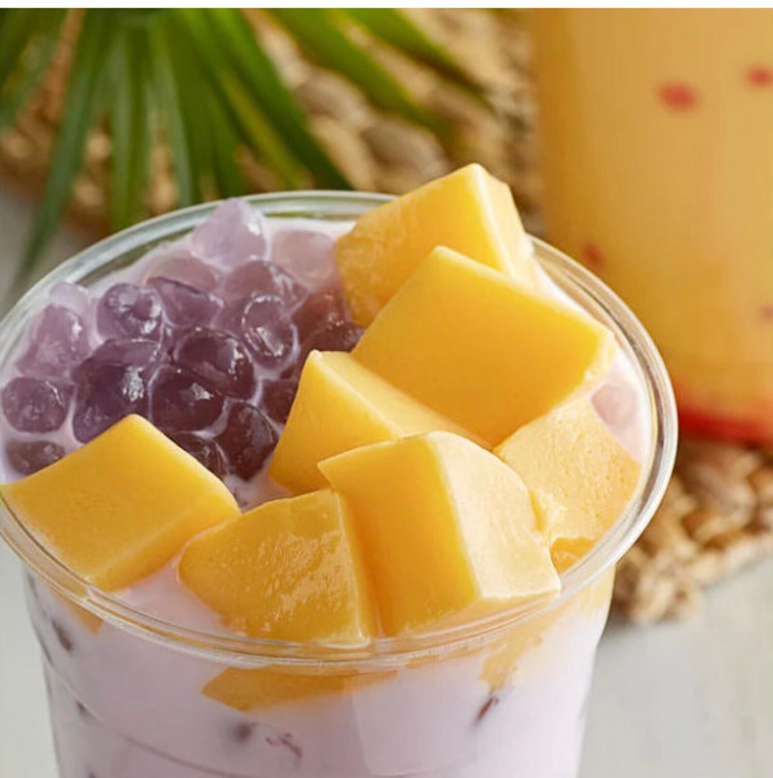 Premium MANGO Powder Mango PUDDING Mix Boba Bubble Tea Tapioca - Etsy