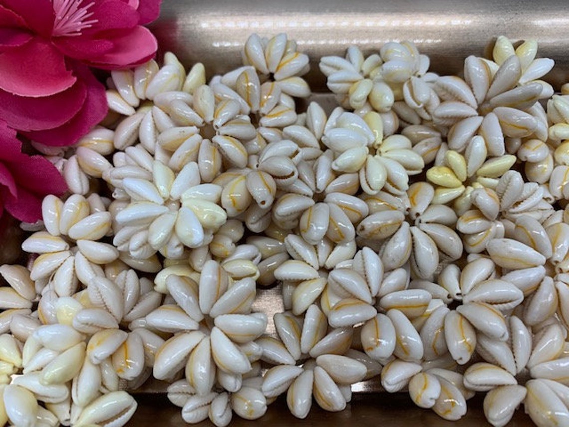 LOOSE Cowrie Shell Rings Cowrie Shell Cowrie Shell Beads Lei | Etsy