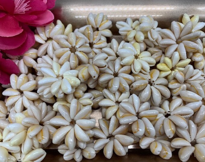 LOOSE Cowrie Shell Rings Cowrie Shell Cowrie Shell Beads Lei Making ...