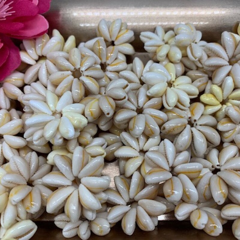 Cowrie Shell Necklace - Etsy