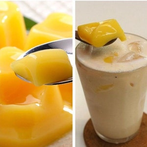 Premium MANGO Powder Mango PUDDING Mix Boba Bubble Tea Tapioca Pearl ...