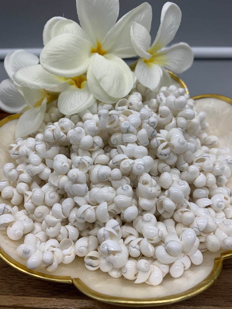 LOOSE Mongo Shell Rings Lei Making Crafts DIY Projects WHITE - Etsy