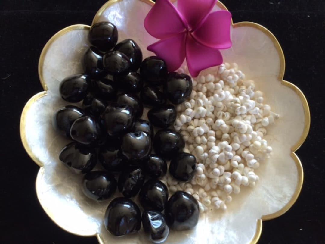 Hawaiian Kukui Nut Mongo Shell Lei Making Kit DIY Lei Making Kit ...