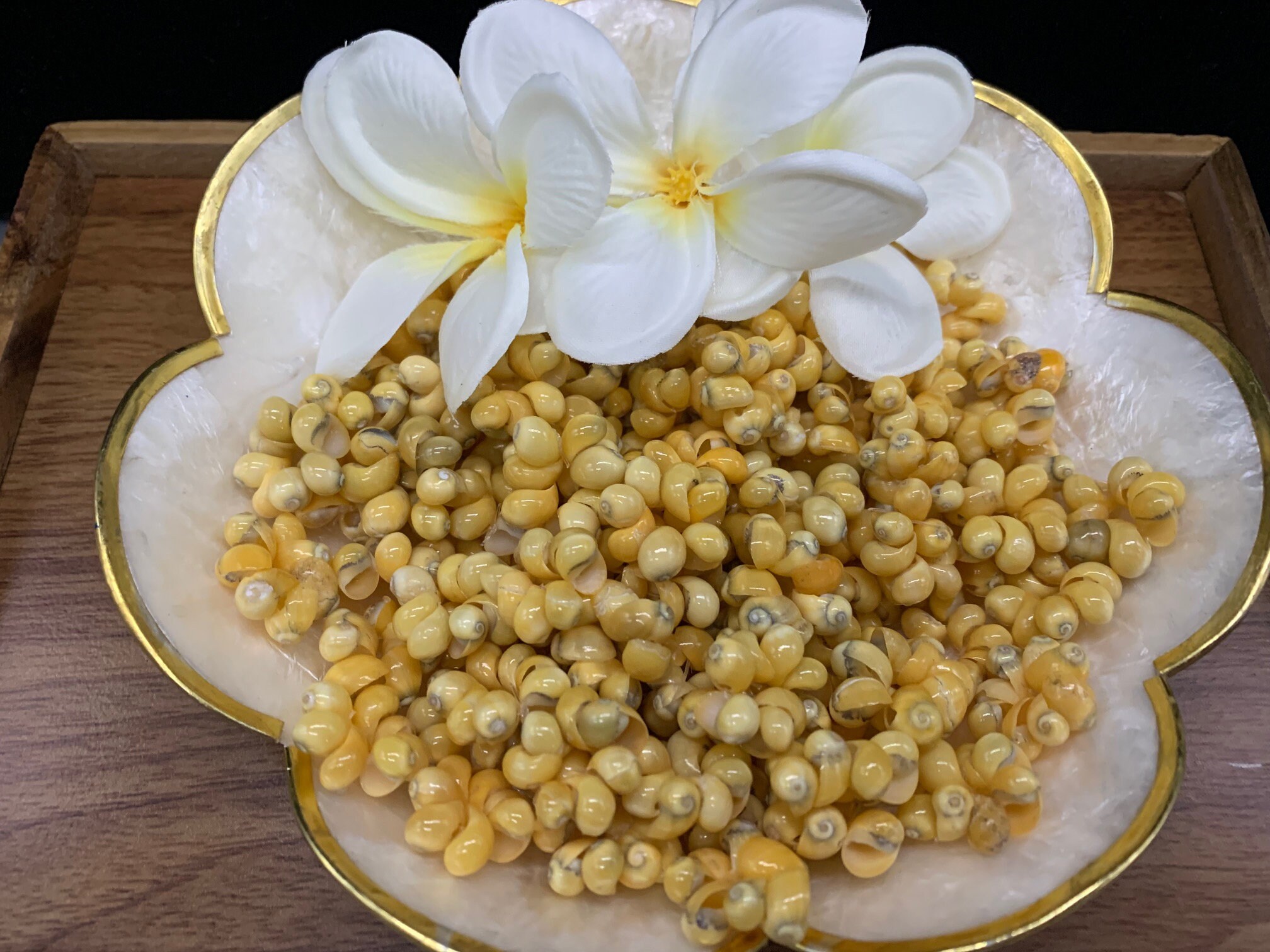 LOOSE Mongo Shell Rings Lei Making Crafts DIY Projects YELLOW | Etsy