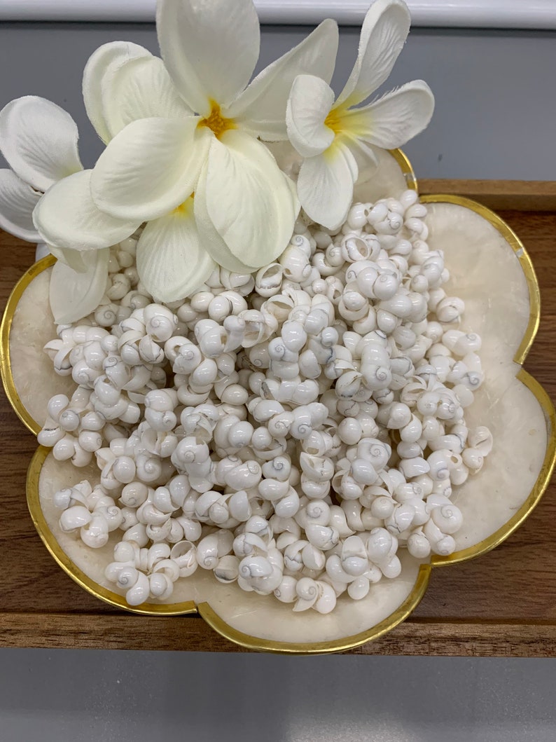 LOOSE Mongo Shell Rings Lei Making Crafts DIY Projects WHITE - Etsy