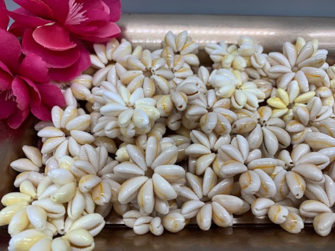 LOOSE Cowrie Shell Rings Cowrie Shell Cowrie Shell Beads Lei Making ...