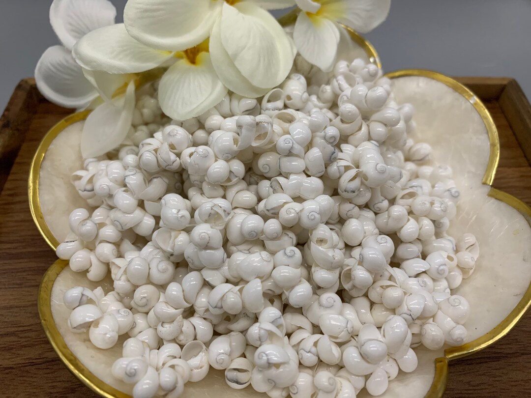 LOOSE Mongo Shell Rings Lei Making Crafts DIY Projects WHITE - Etsy