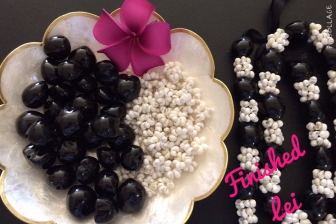 Hawaiian Kukui Nut Mongo Shell Lei Making Kit DIY Lei Making - Etsy