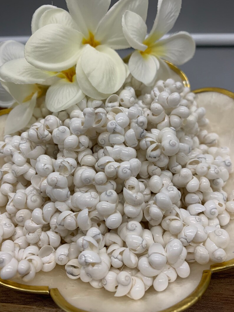 LOOSE Mongo Shell Rings Lei Making Crafts DIY Projects WHITE - Etsy