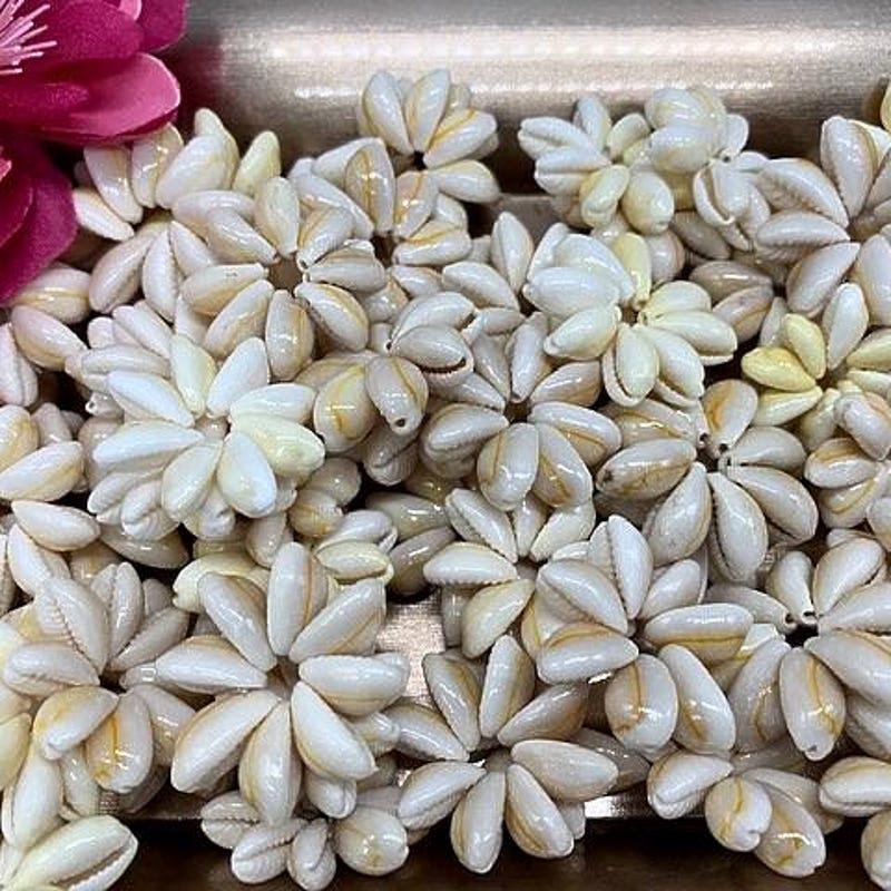 Cowrie Shell Ring - Etsy