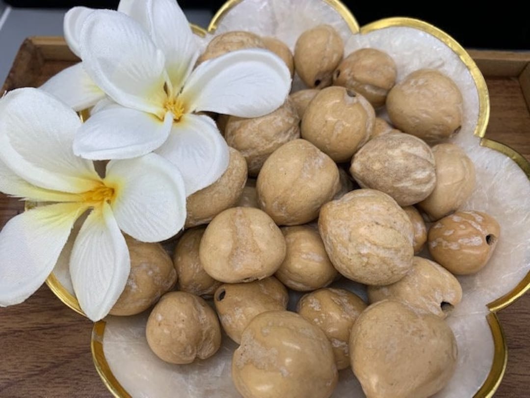 LOOSE Kukui Nuts Hawaiian UNPOLISHED Kukui Nuts Loose for Lei Making and Kukui Nut Crafts ...