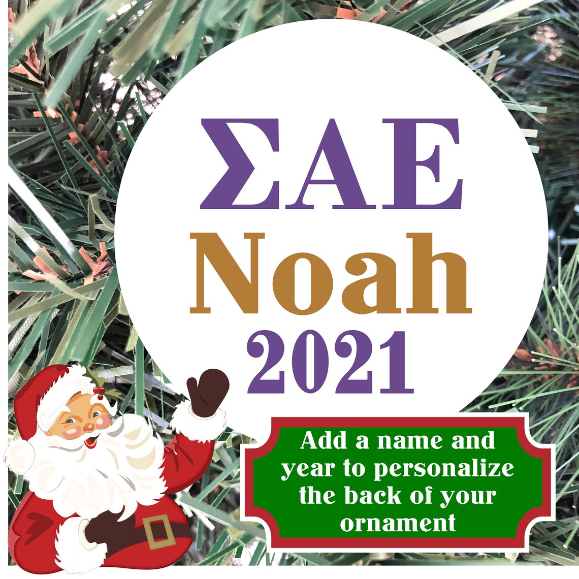 Sigma Alpha Epsilon Fraternity House at Florida State | Etsy