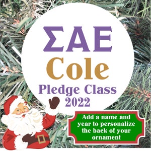 Sigma Alpha Epsilon Fraternity House at Florida State University ...