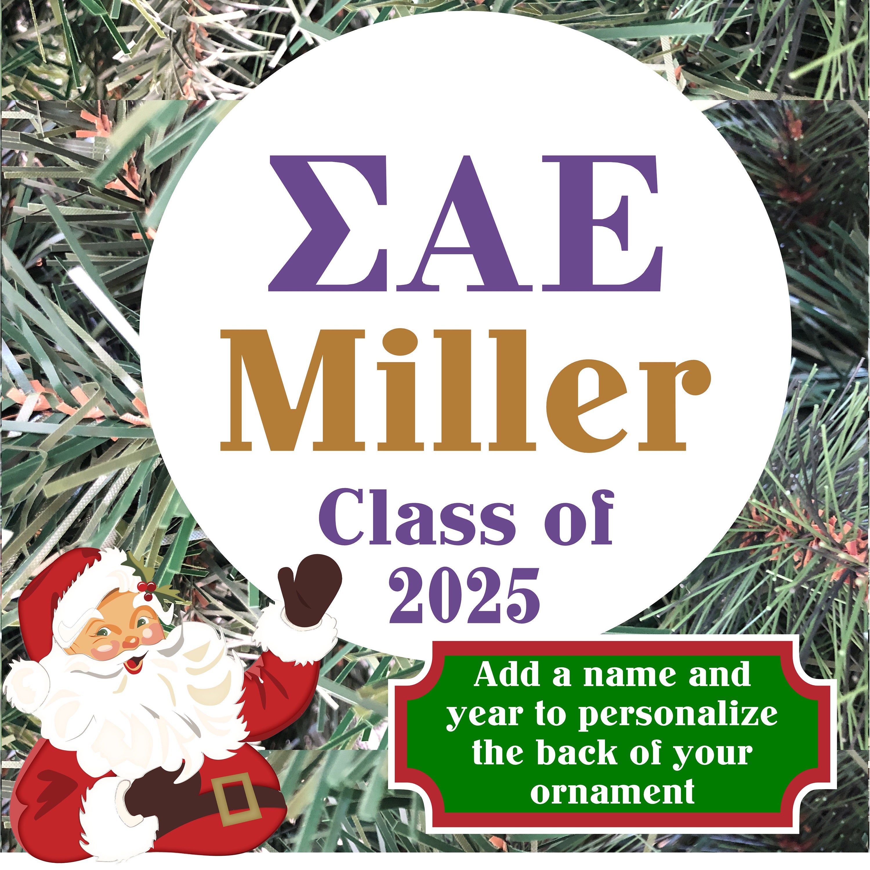 Sigma Alpha Epsilon Fraternity House at Florida State | Etsy