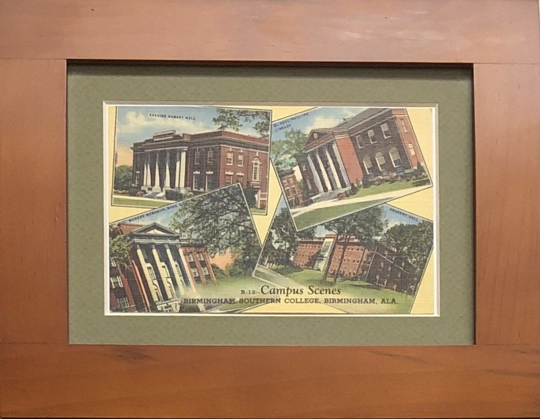 Birmingham-southern Panthers Framed Vintage Postcard - Etsy