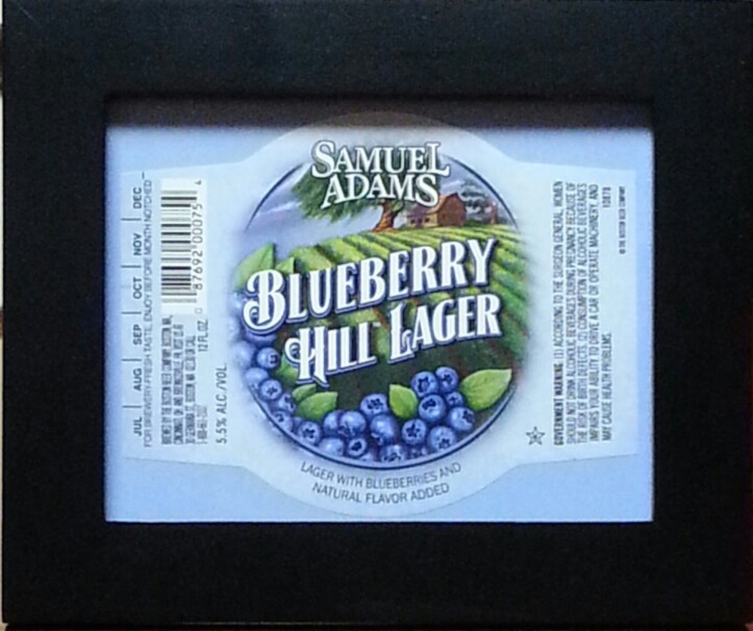 Blueberry Beer Sam Adams