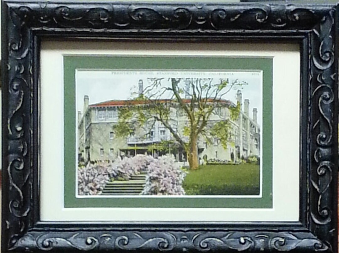 Stanford University Framed Vintage Postcard - Etsy