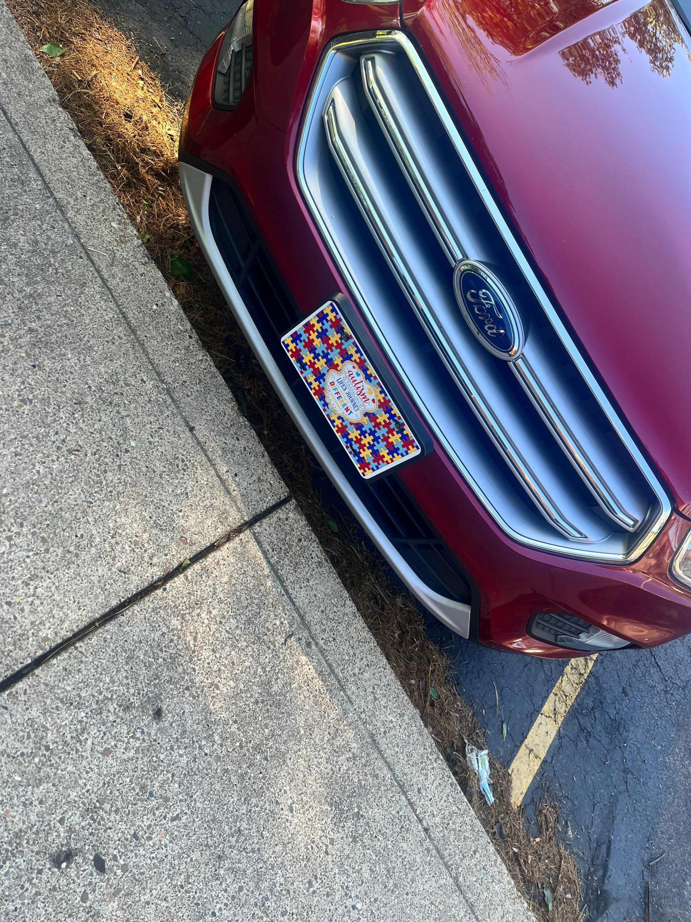 Autism Vanity Plate for Vehicles - Etsy