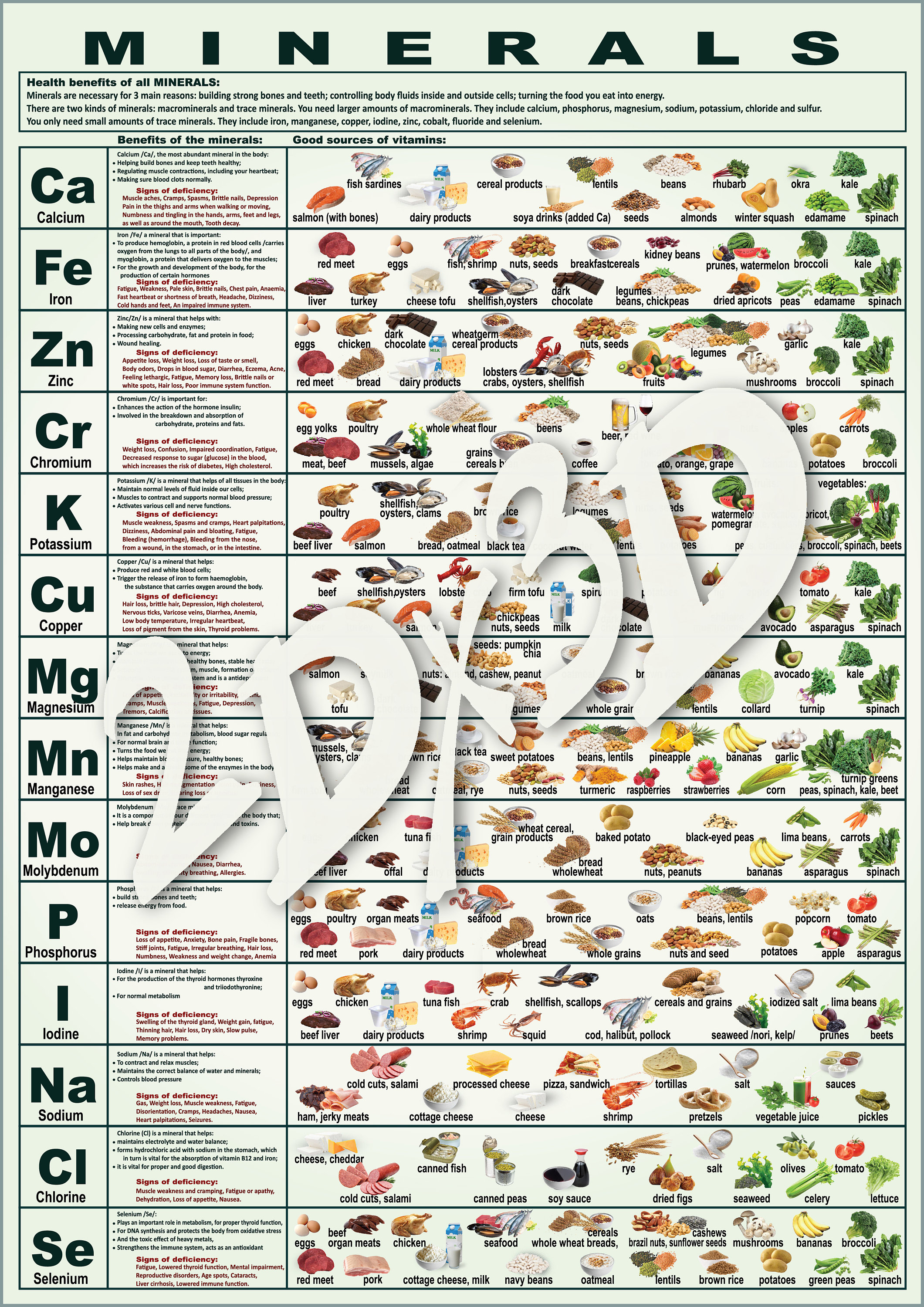 Vitamins & Minerals Food Chart: Printable Nutrition Guide (PDF, JPG) - Etsy