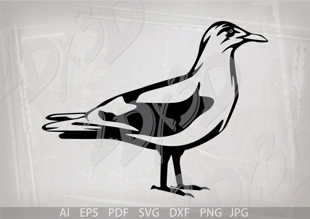 California Seagull Vector: Bird Image Download (ai, Eps, Pdf, Svg, Dxf ...