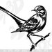 Vector BIRD, Mockingbird, Ai, Eps, Pdf, Svg, Dxf, Png, Jpg Download ...