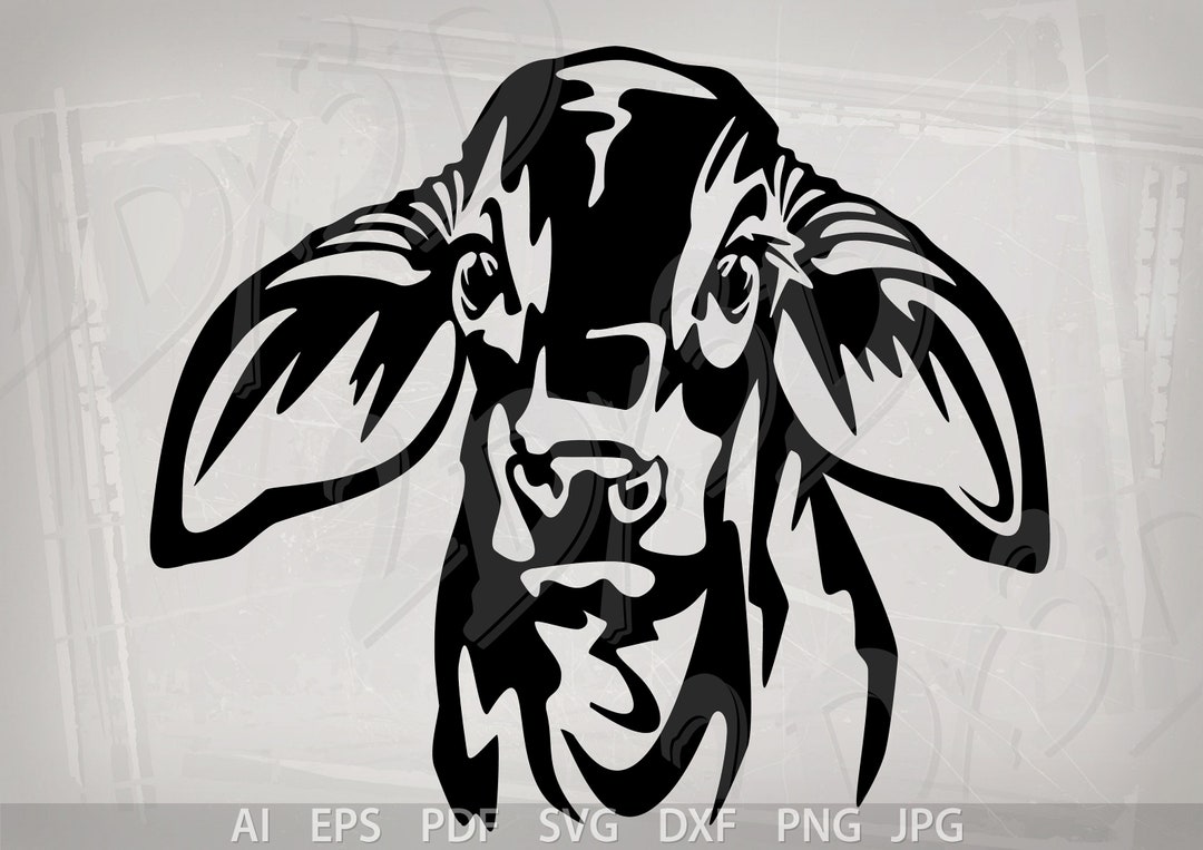Vector BRAHMAN CALF Head SVG Cow Heifer Ai Eps Pdf Png Jpg Download ...