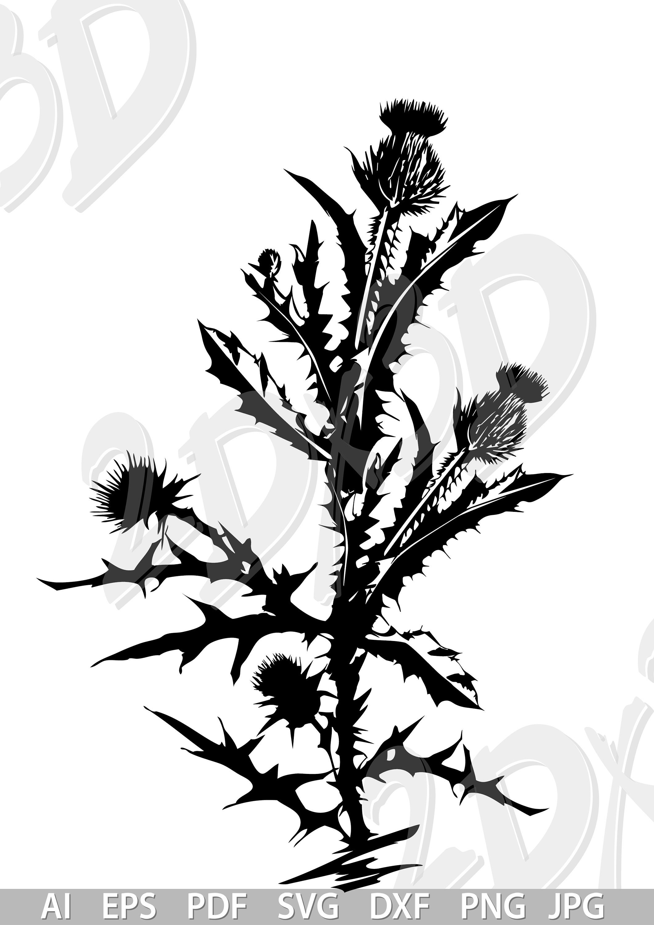 Vector THISTLE Download Digital Image Graphical Image - Etsy
