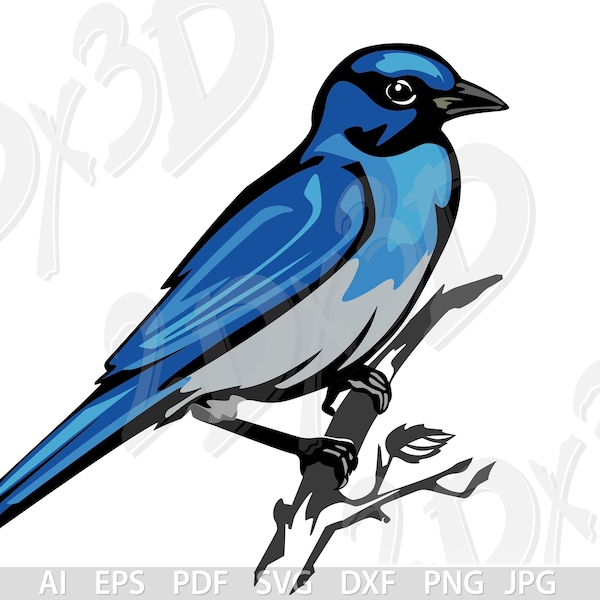 Eastern Bluebird Svg - Etsy