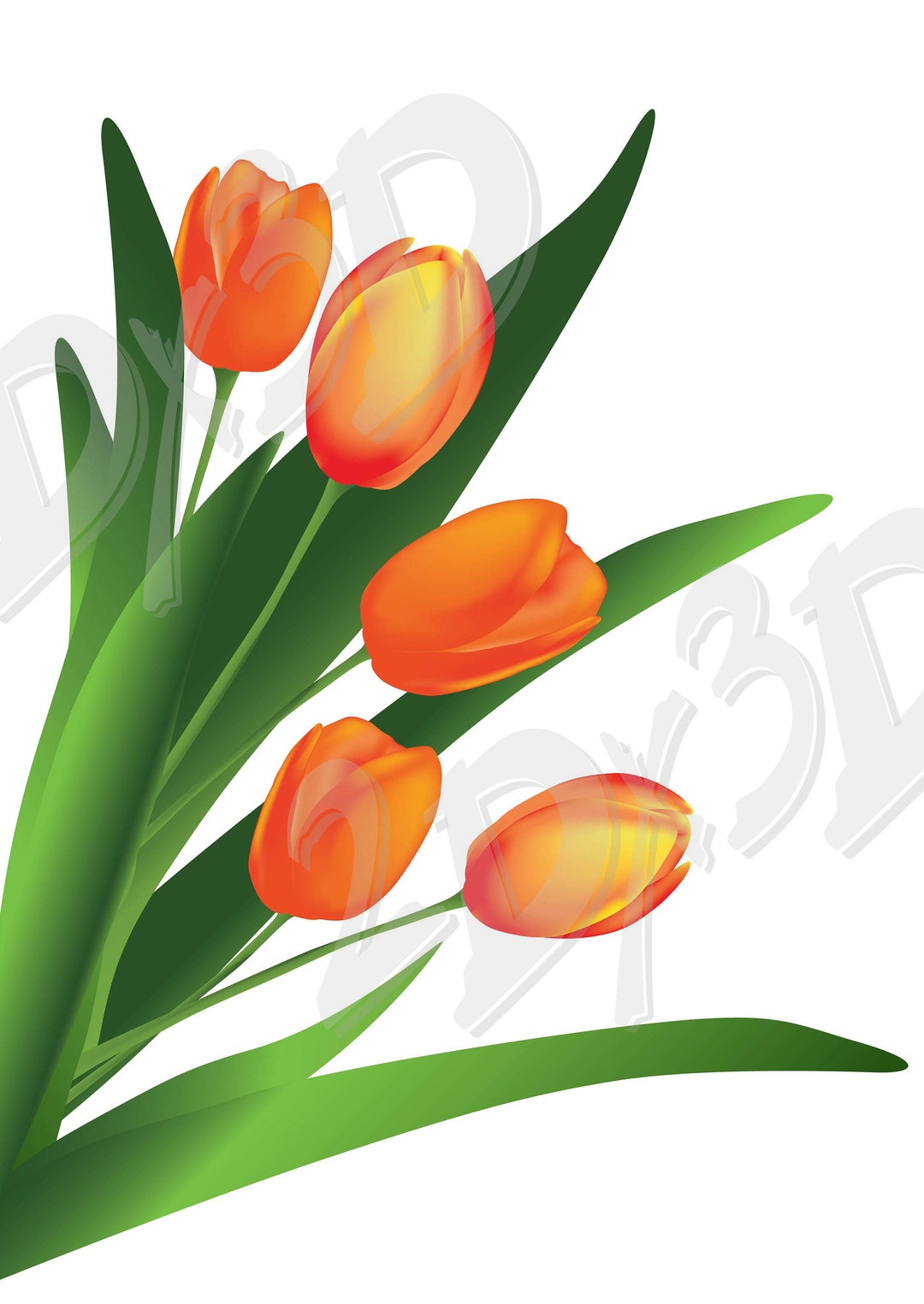 Vector TULIPS, Printable Computer Work, Download, Digital Image ...