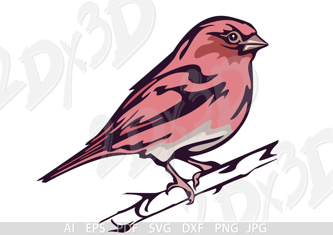 Vector BIRD Purple Finch Colored SVG Ai Eps Pdf Dxf Png Jpg Download ...