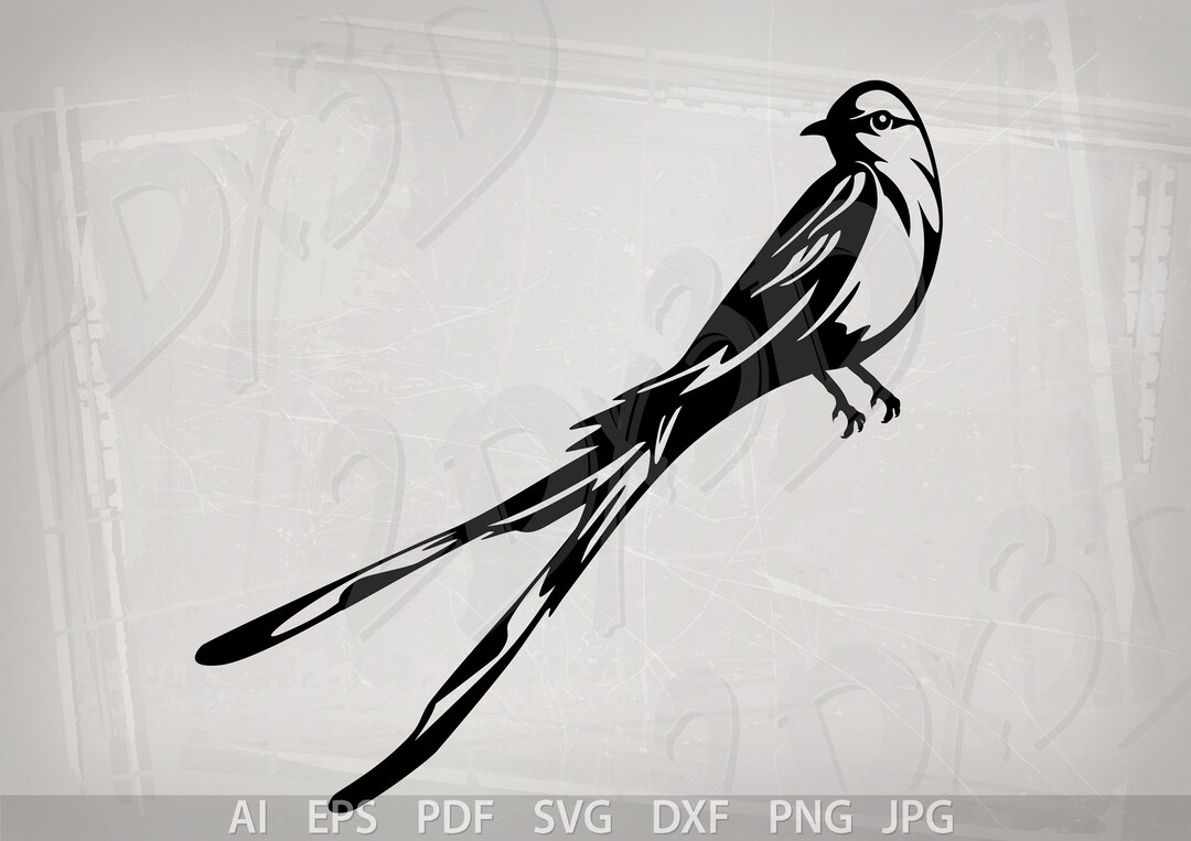 Scissor-tailed Flycatcher Vector: Bird Clipart (digital Download) - Etsy
