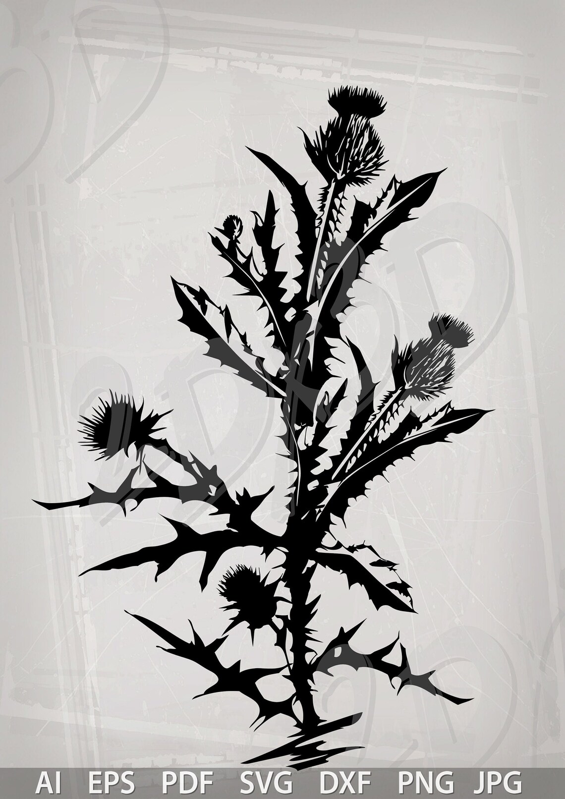 Vector THISTLE Download Digital Image Graphical Image - Etsy