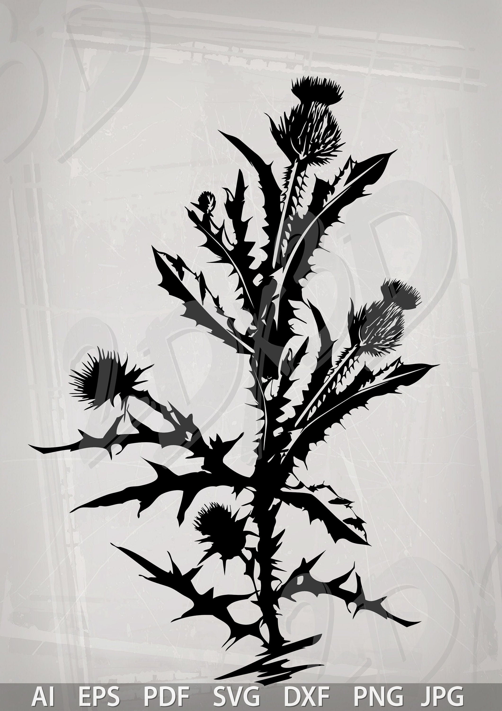 Vector THISTLE Download Digital Image Graphical Image - Etsy