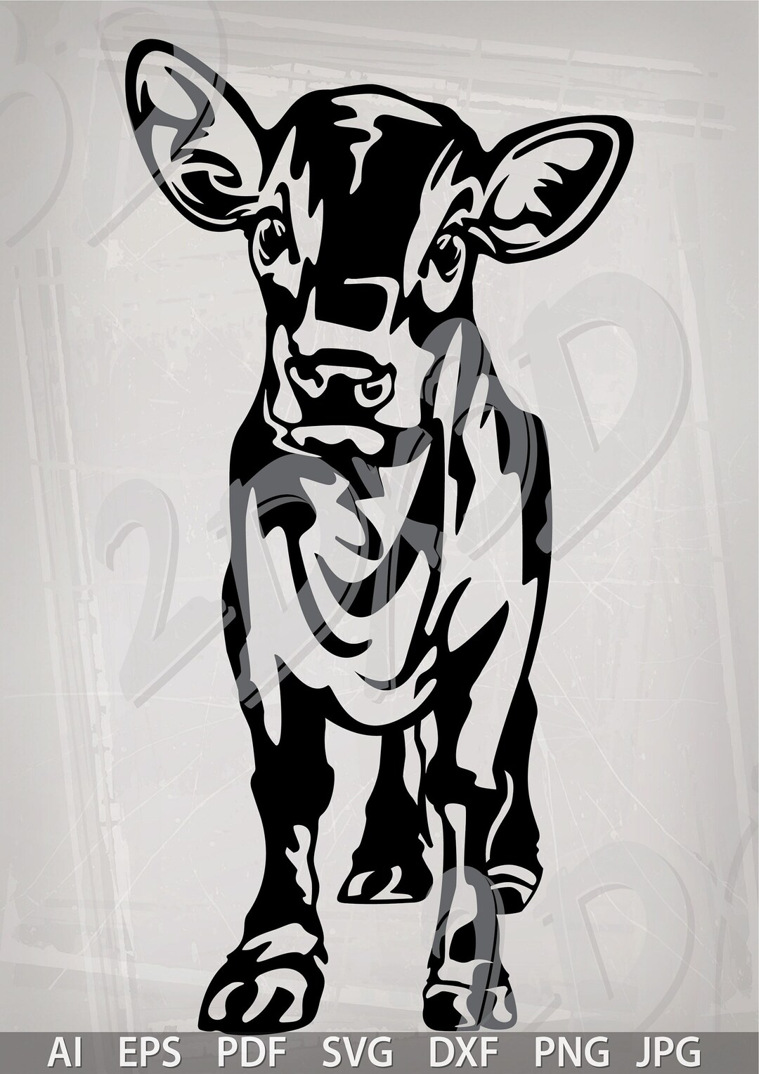 Vector CALF Body SVG Cow Ai Eps Pdf Png Jpg Download, Digital Image ...