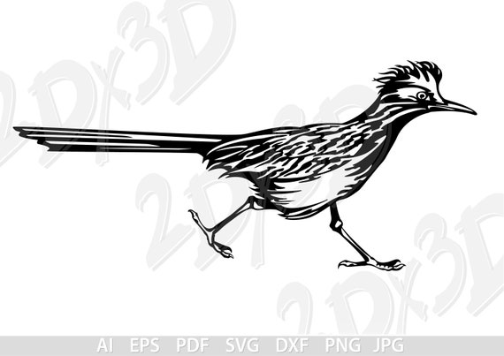 Roadrunner Bird Clipart Jpg