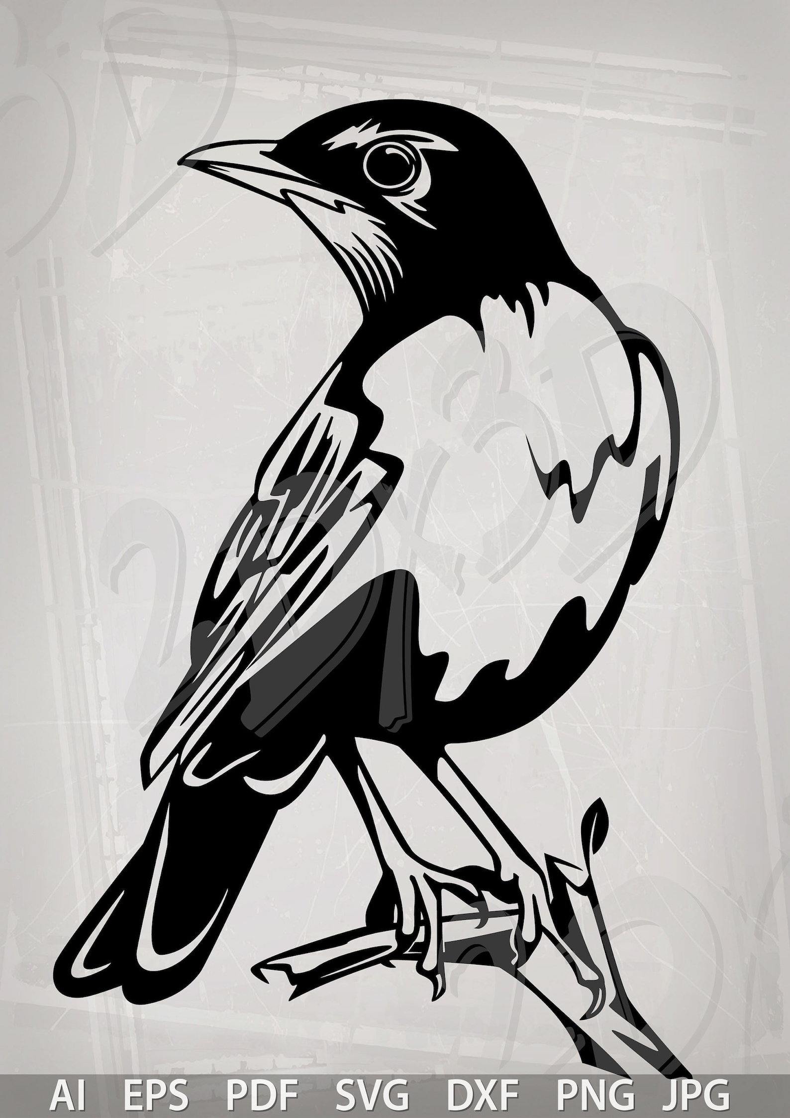 Vector BIRD American Robin ai eps pdf svg dxf png jpg | Etsy