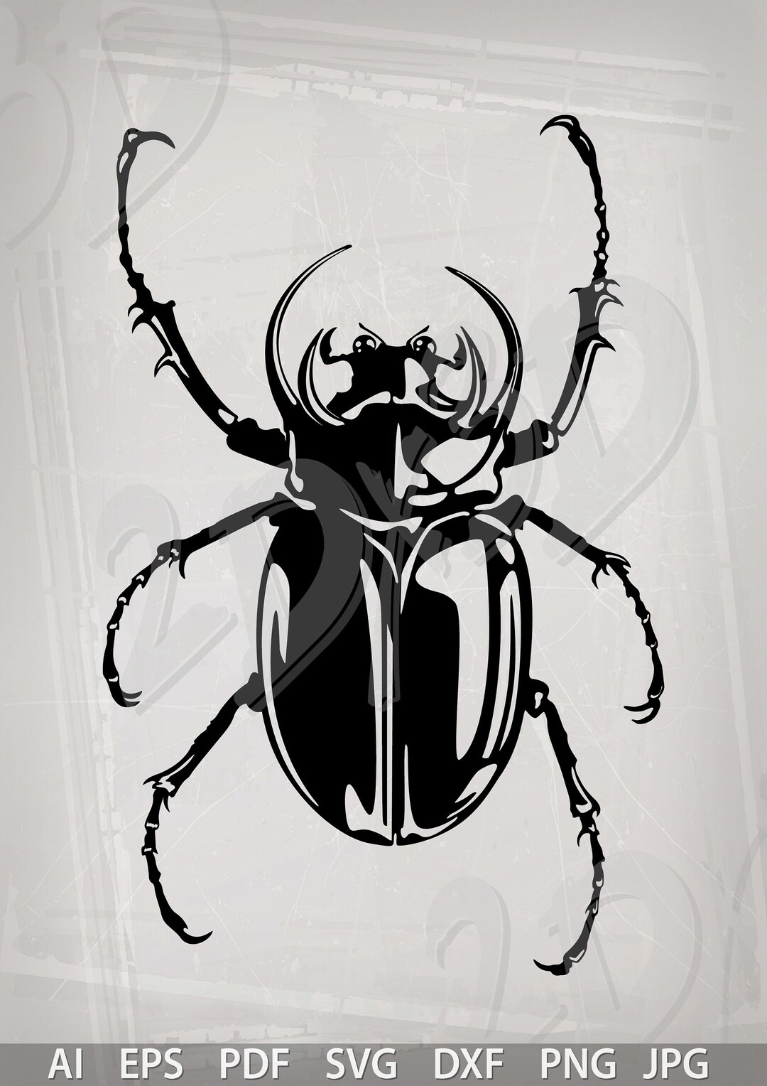 Vector BEETLE, AI, Eps, Pdf, Svg, Dxf, Png, Jpg Download, Digital Image ...