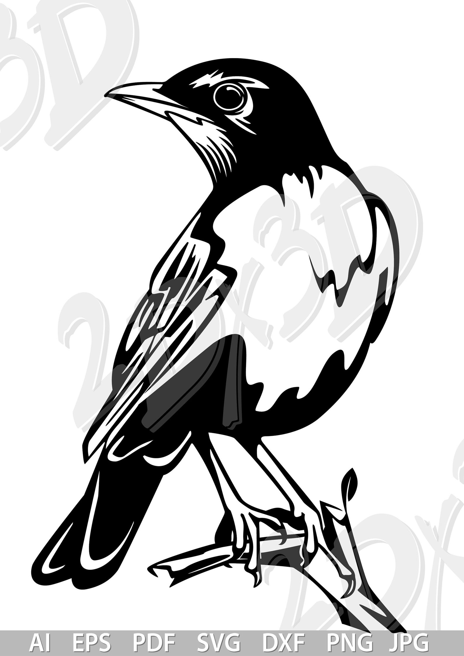 Vector BIRD American Robin ai eps pdf svg dxf png jpg | Etsy
