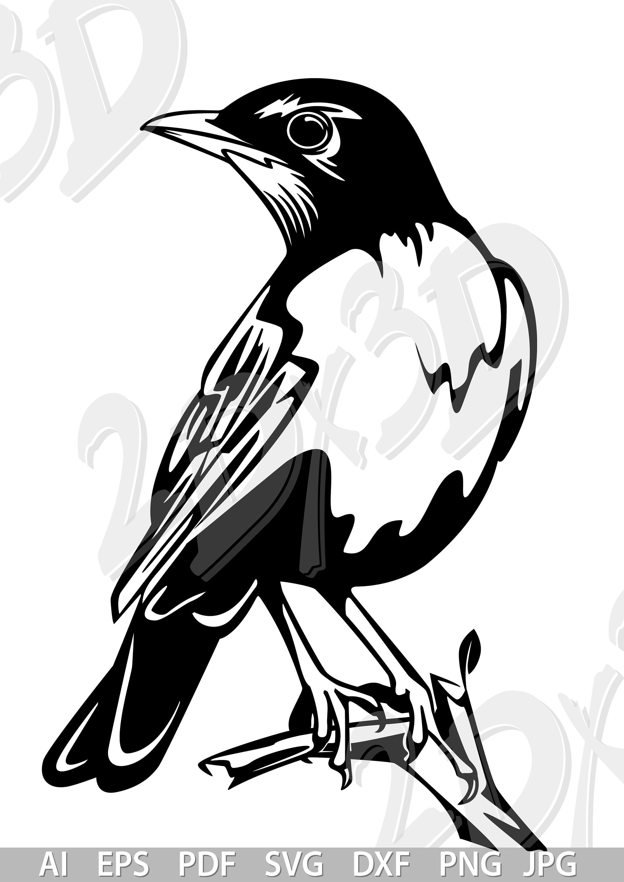 Vector BIRD American Robin Ai Eps Pdf Svg Dxf Png Jpg - Etsy