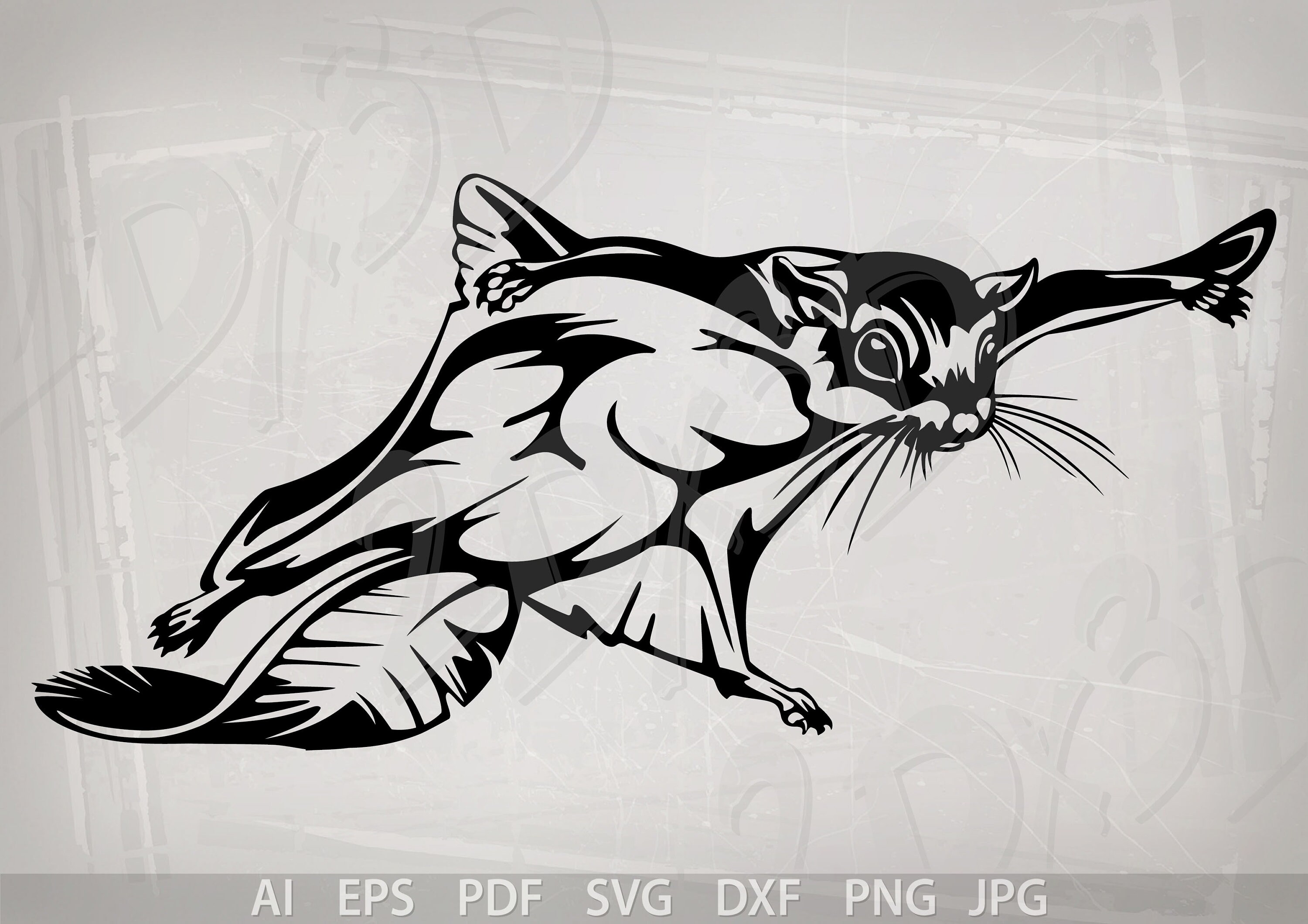 Vector FLYING SQUIRREL Ai Eps Pdf Svg Dxf Png Jpg - Etsy