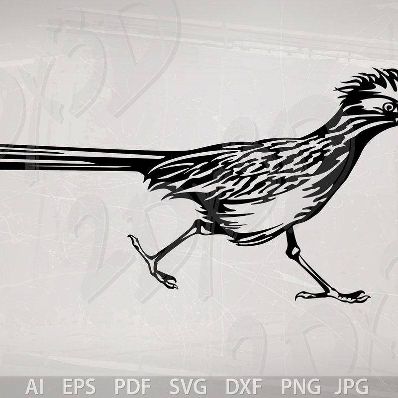 Roadrunner - Etsy