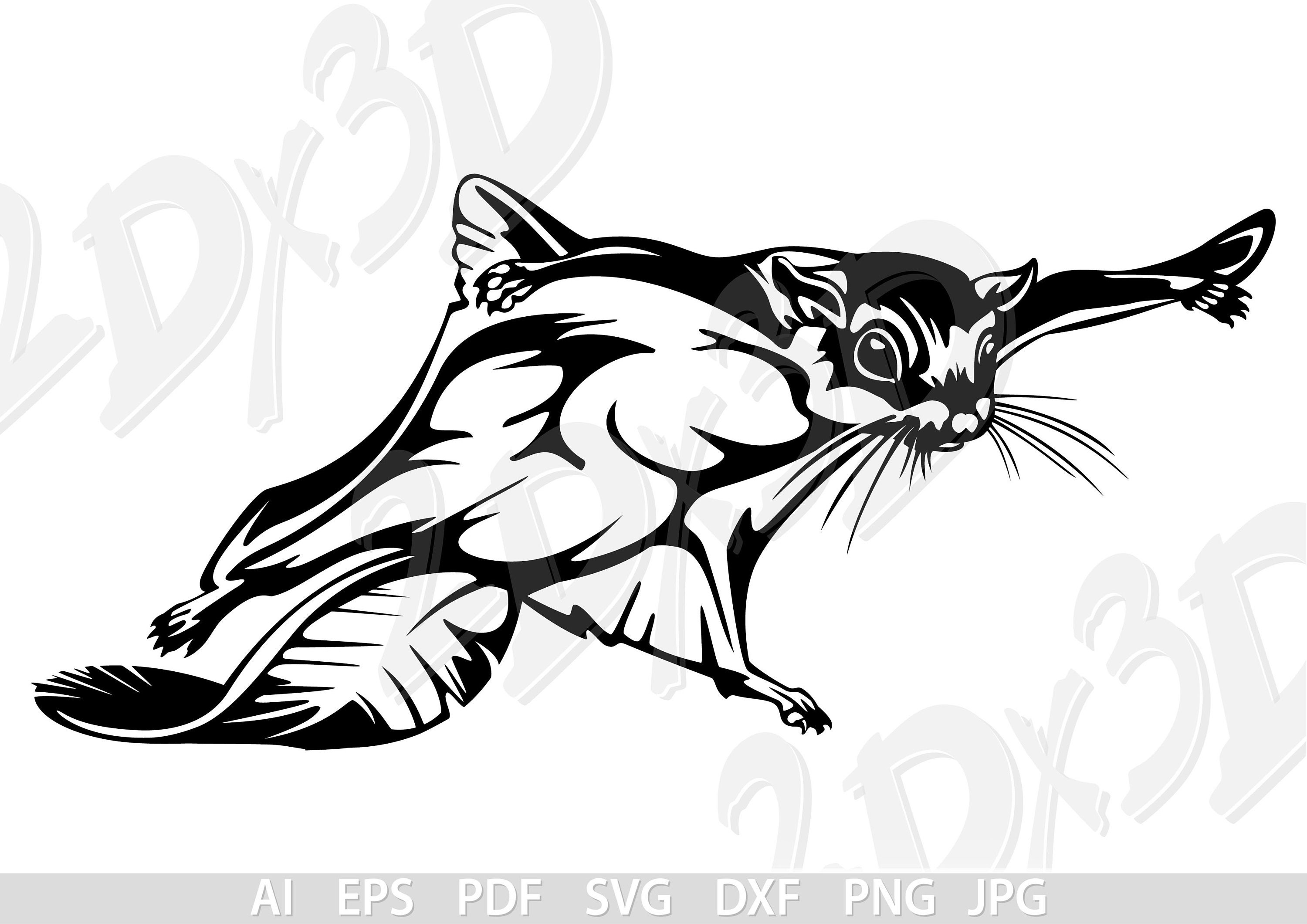 Vector FLYING SQUIRREL Ai Eps Pdf Svg Dxf Png Jpg - Etsy