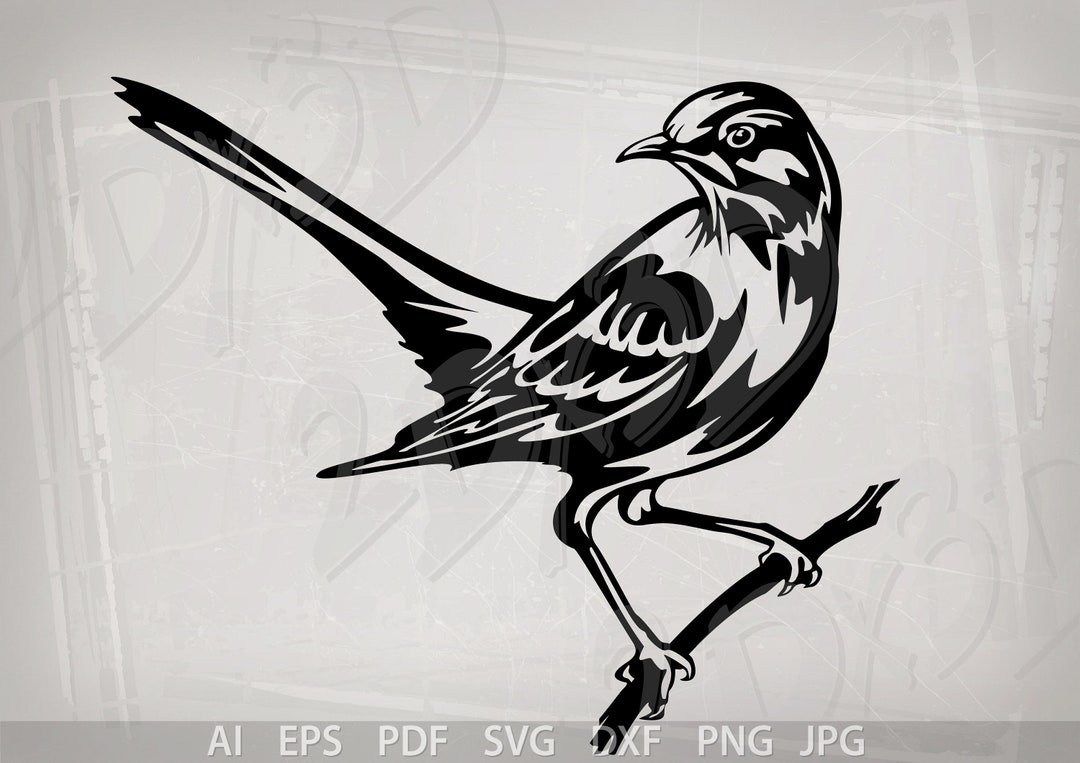 Vector BIRD, Mockingbird, Ai, Eps, Pdf, Svg, Dxf, Png, Jpg Download ...