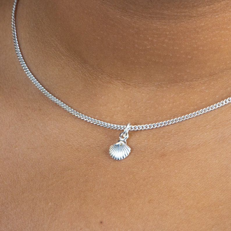 Caribbean Small Clam Shell Pendant With Chain in 925 Sterling Silver - Etsy