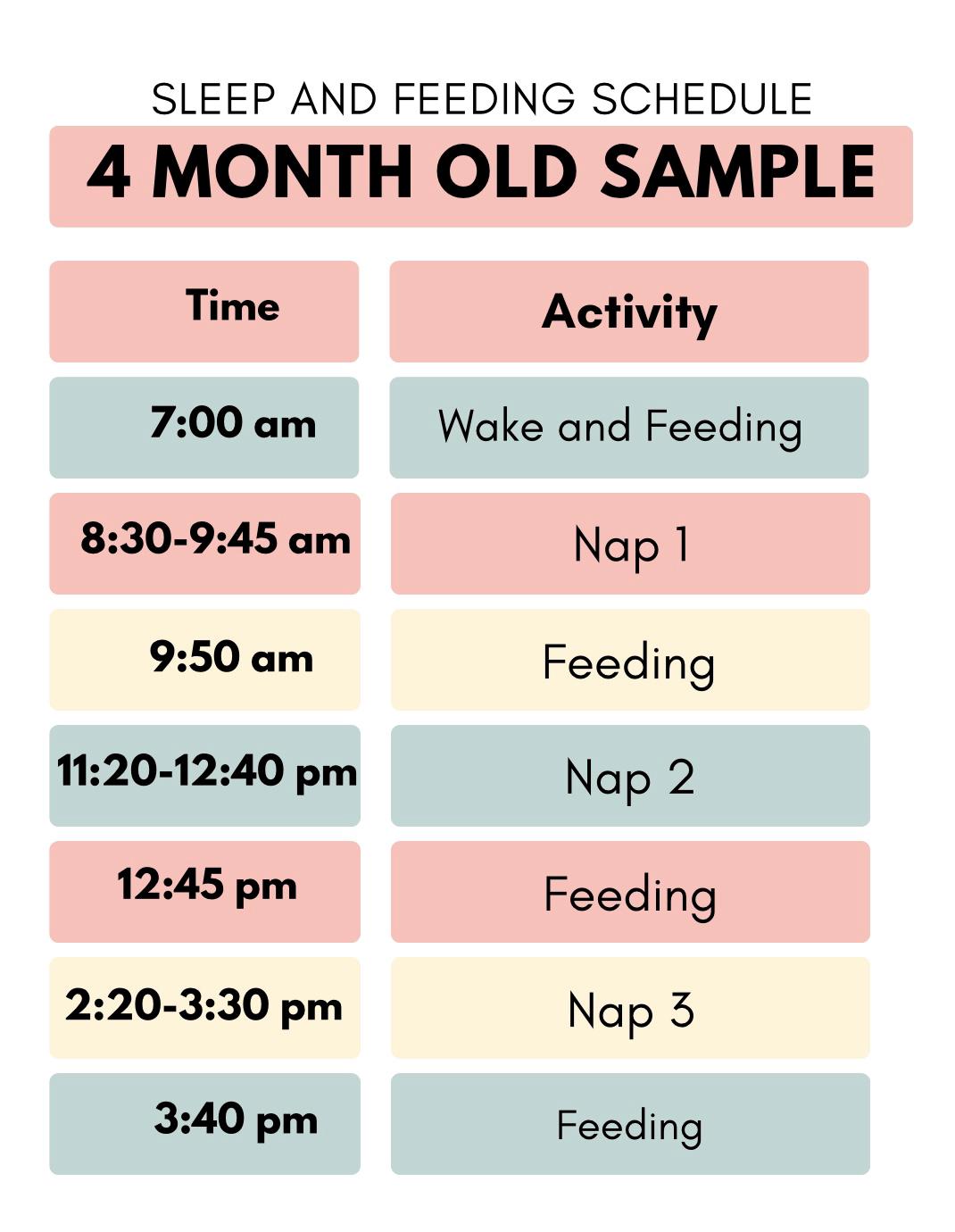Feeding & Napping Schedule - Printable PDF | Baby Daily Routine ...